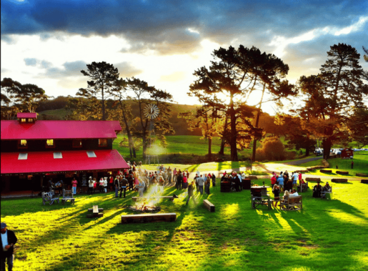 Leadfoot Ranch Wedding