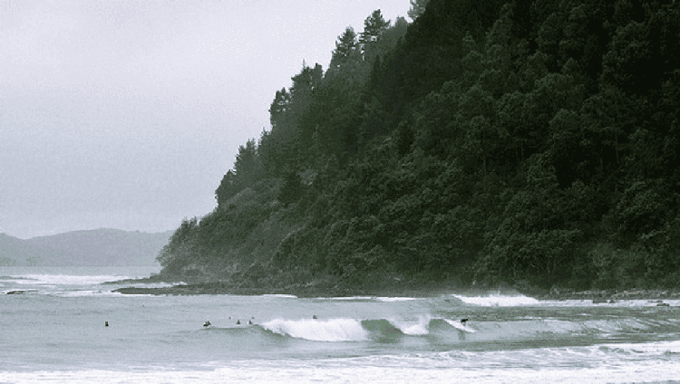 Pauanui Beach | The Coromandel