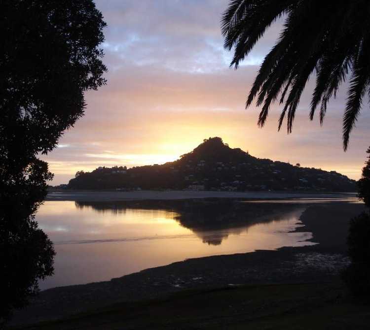 Mount Paku | The Coromandel