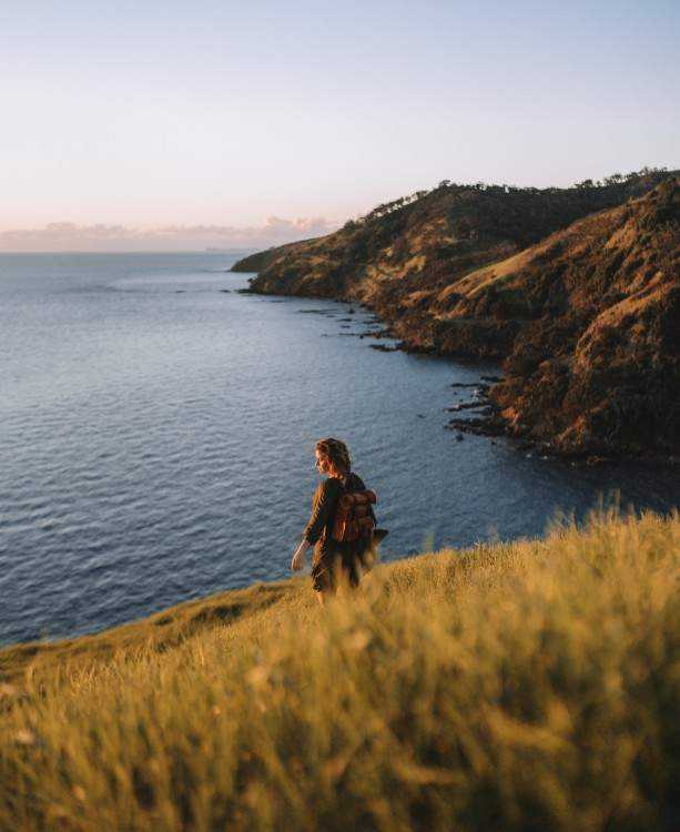 The Coromandel Coastal Walkway | The Coromandel