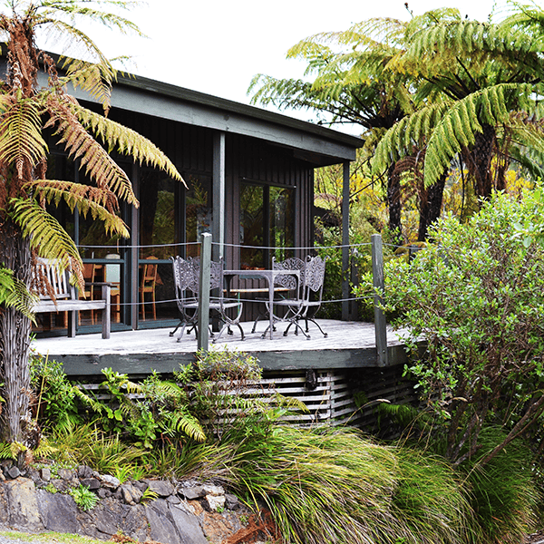 Getting off the grid on The Coromandel